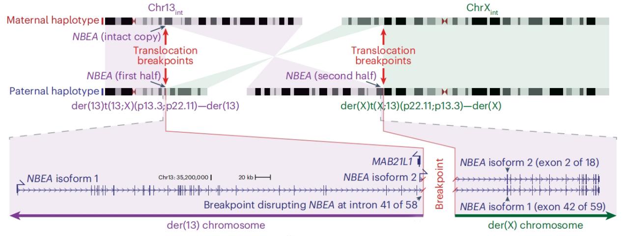技术前沿|Fiber-seq：表观多组学调控解析新利器 - 重庆奥百诺生物科技有限公司