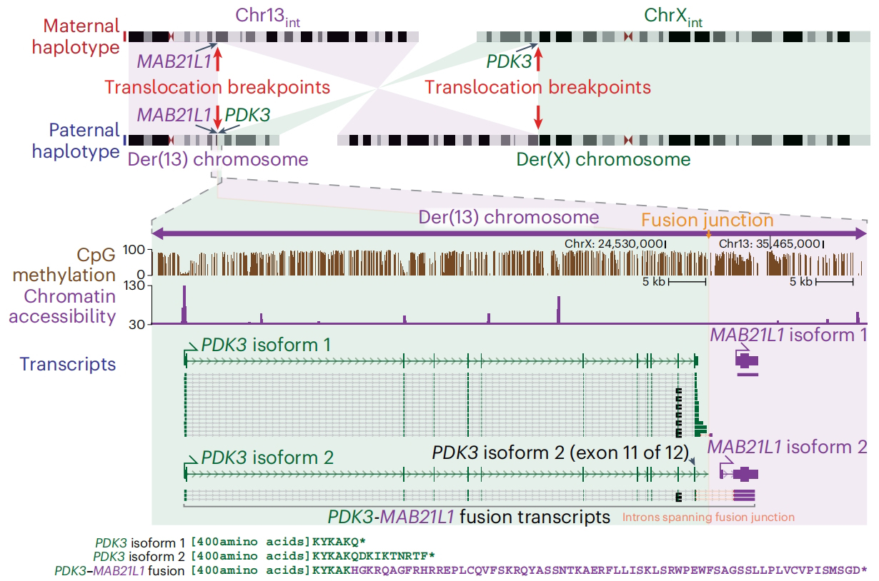 技术前沿|Fiber-seq：表观多组学调控解析新利器 - 重庆奥百诺生物科技有限公司