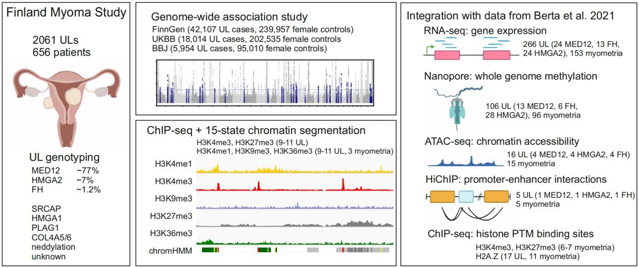 NC|ChIP-seq、RNA-seq、ATAC-seq、三代甲基化、HiChIP联合解析UL发生的表观遗传机制 - 重庆奥百诺生物科技有限公司