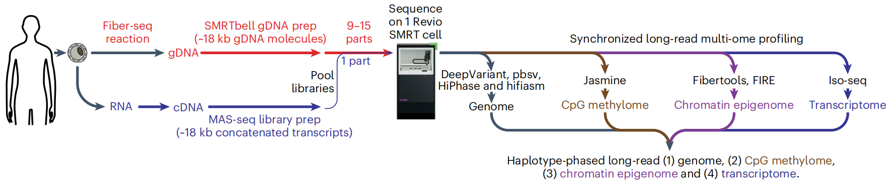 技术前沿|Fiber-seq：表观多组学调控解析新利器 - 重庆奥百诺生物科技有限公司